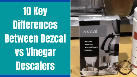 Dezcal vs Vinegar – 10 Key Differences Between Vinegar and Dezcal ...